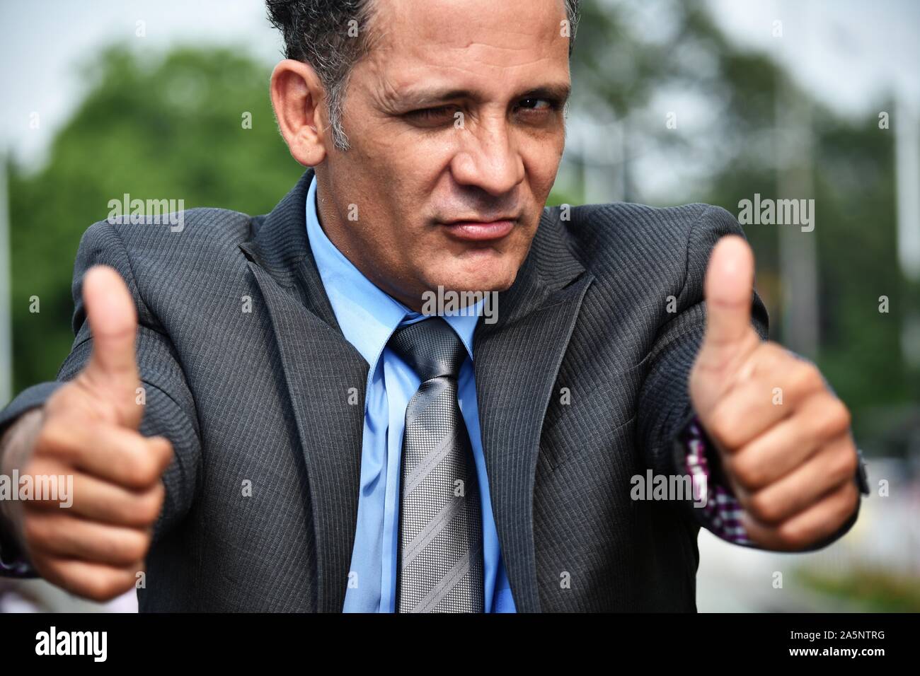 Successful Business Executive Stock Photo - Alamy