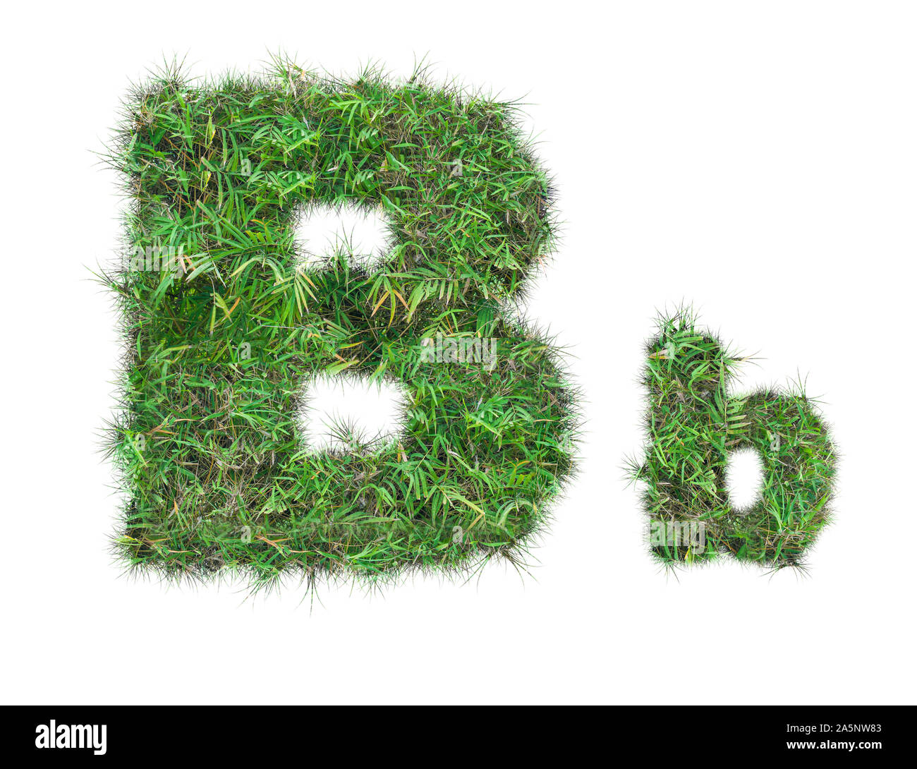 letter B on green grass isolated on over white background Stock Photo ...