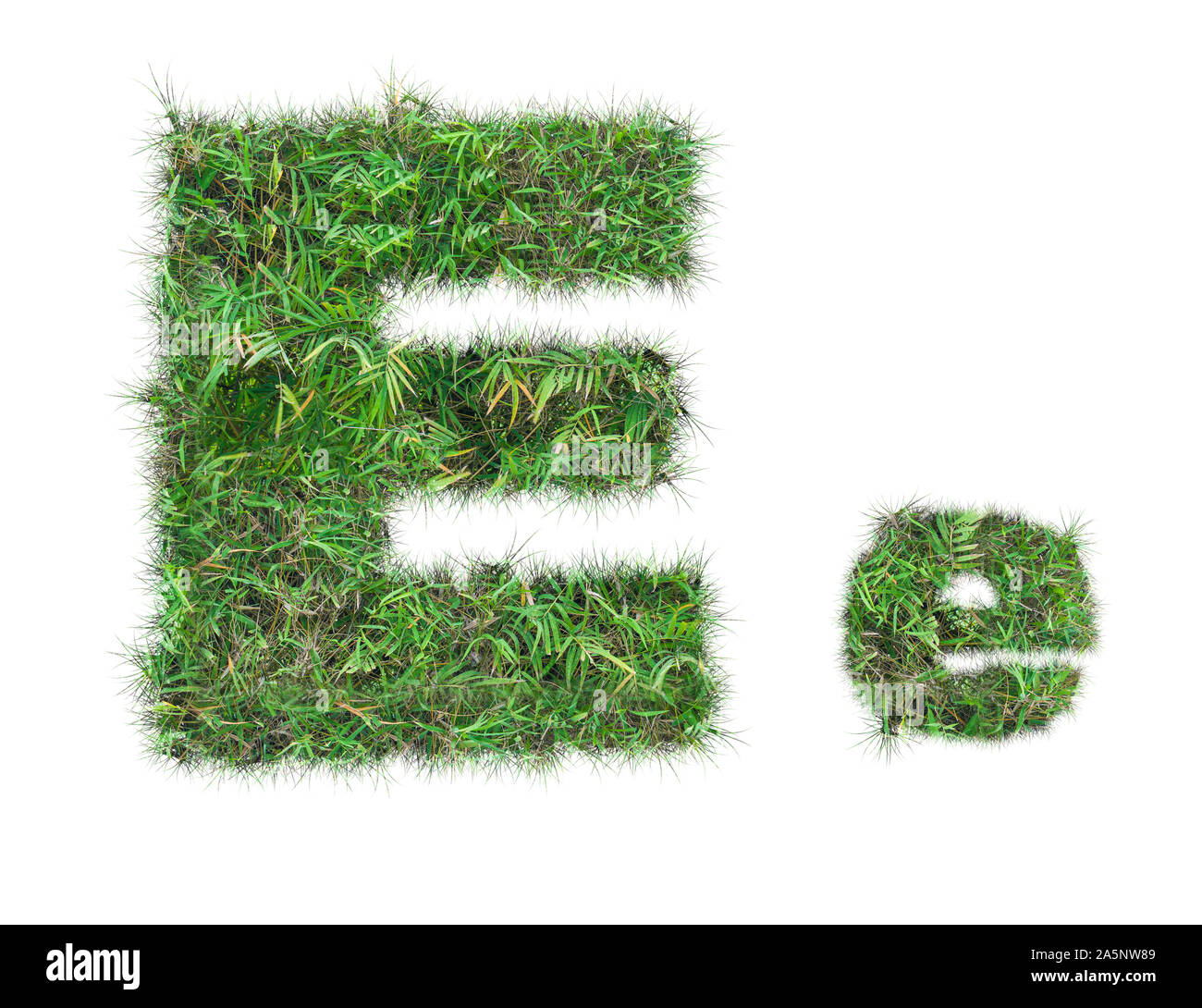 Letter E Nature Cut Out Stock Images & Pictures - Alamy