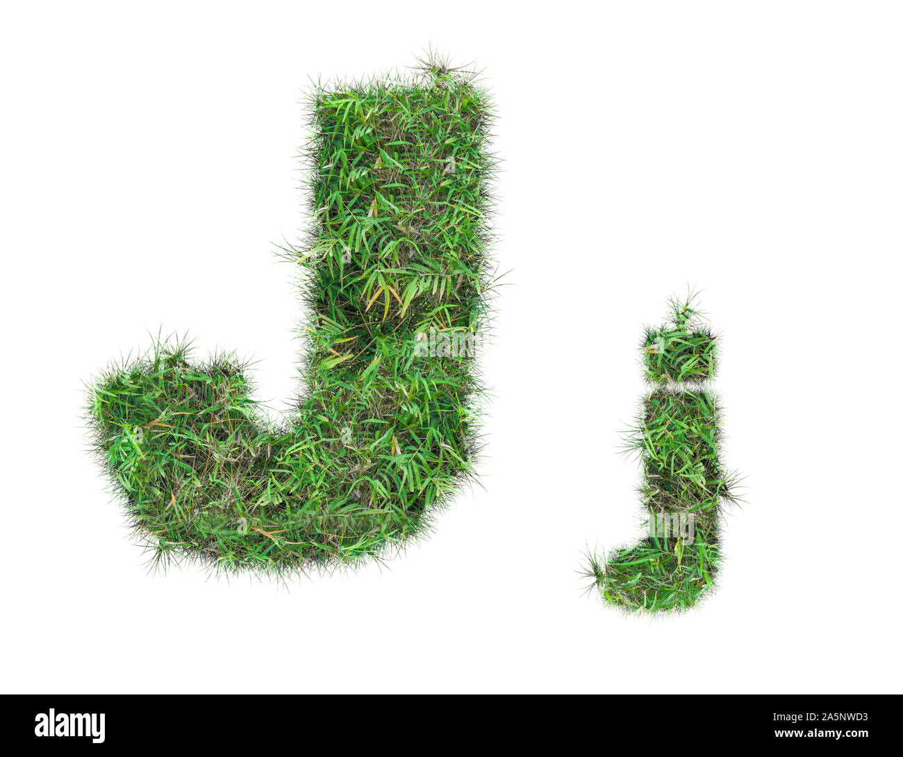 letter J on green grass isolated on over white background Stock Photo ...