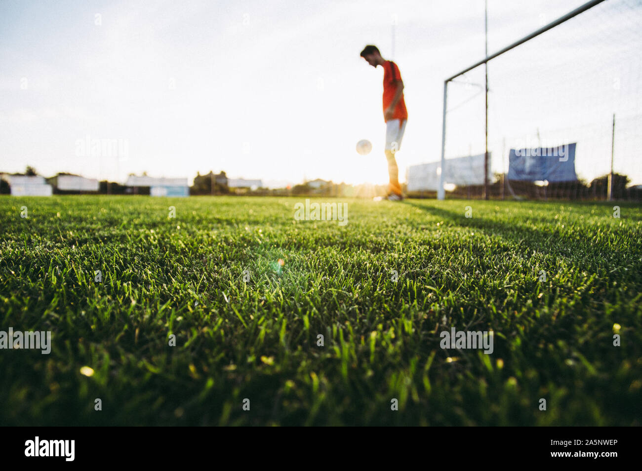 Soccer player on a football field training at sunset Stock Photo - Alamy