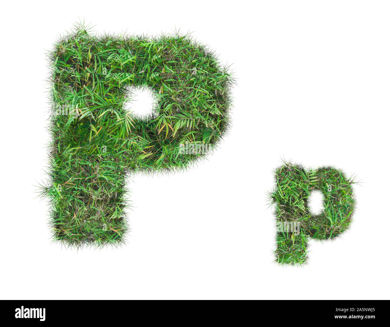 letter P on green grass isolated on over white background Stock Photo ...