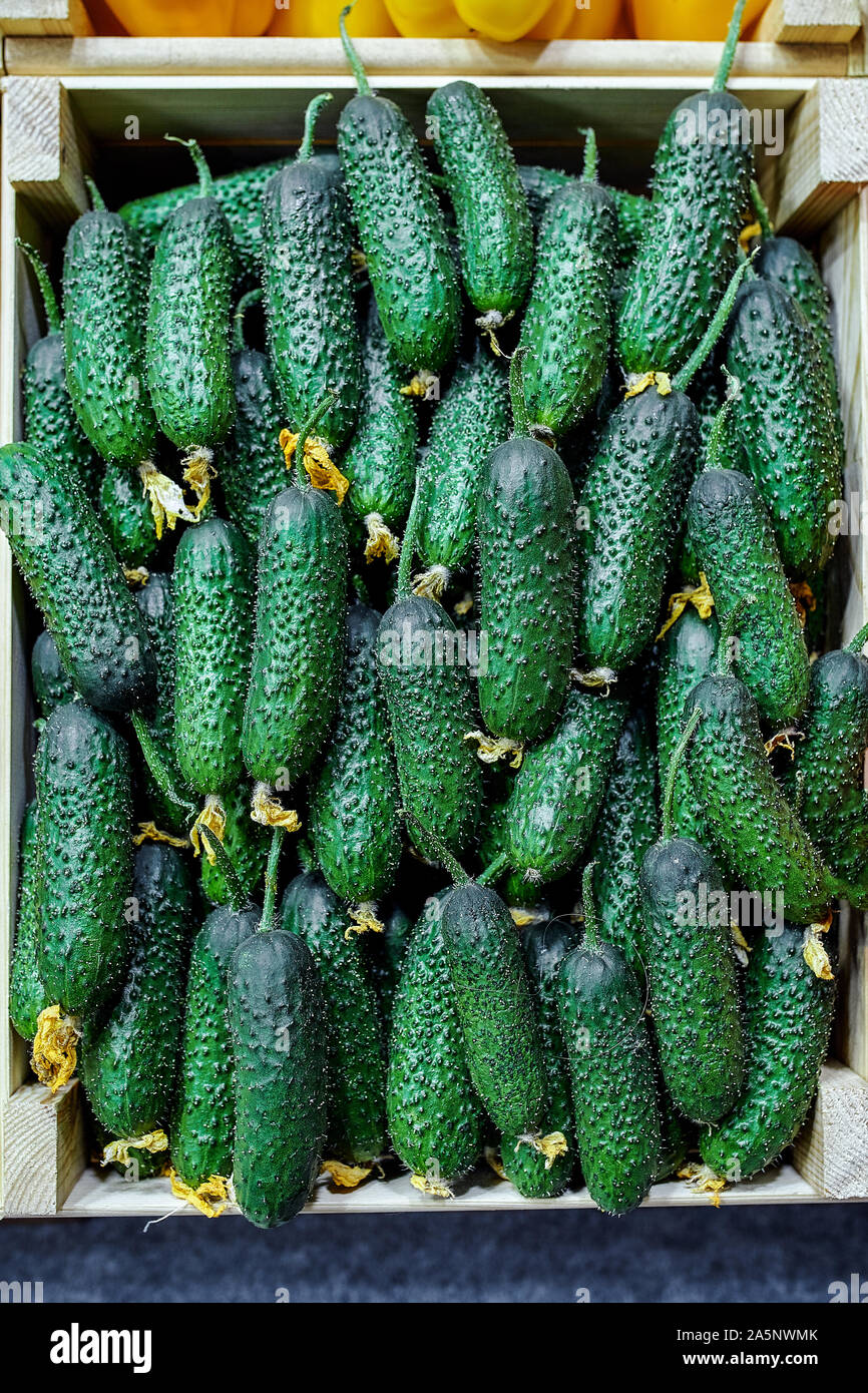 Cucumbers In The Boxes High Resolution Stock Photography and Images - Alamy