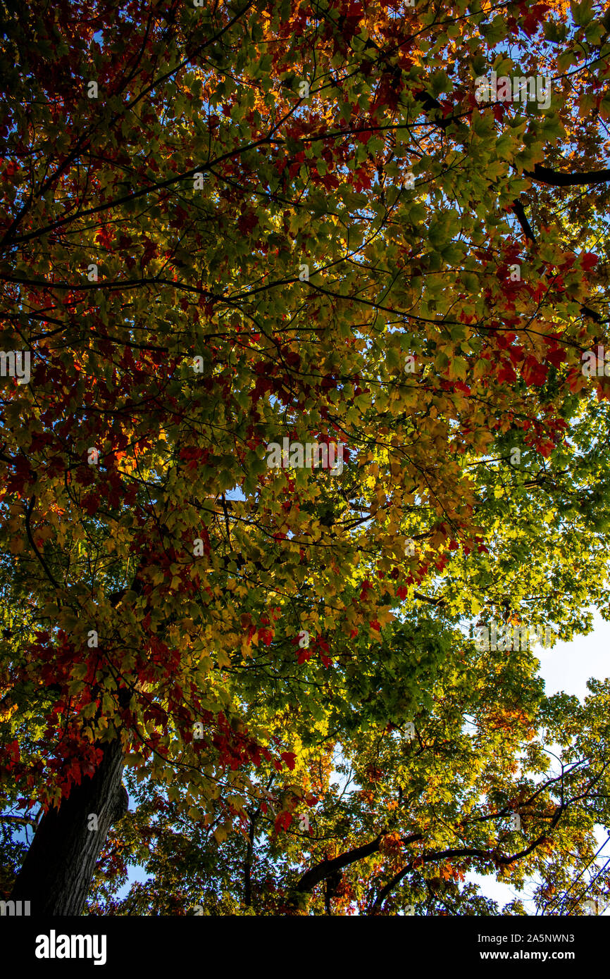 Fall colors in parks hi-res stock photography and images - Alamy
