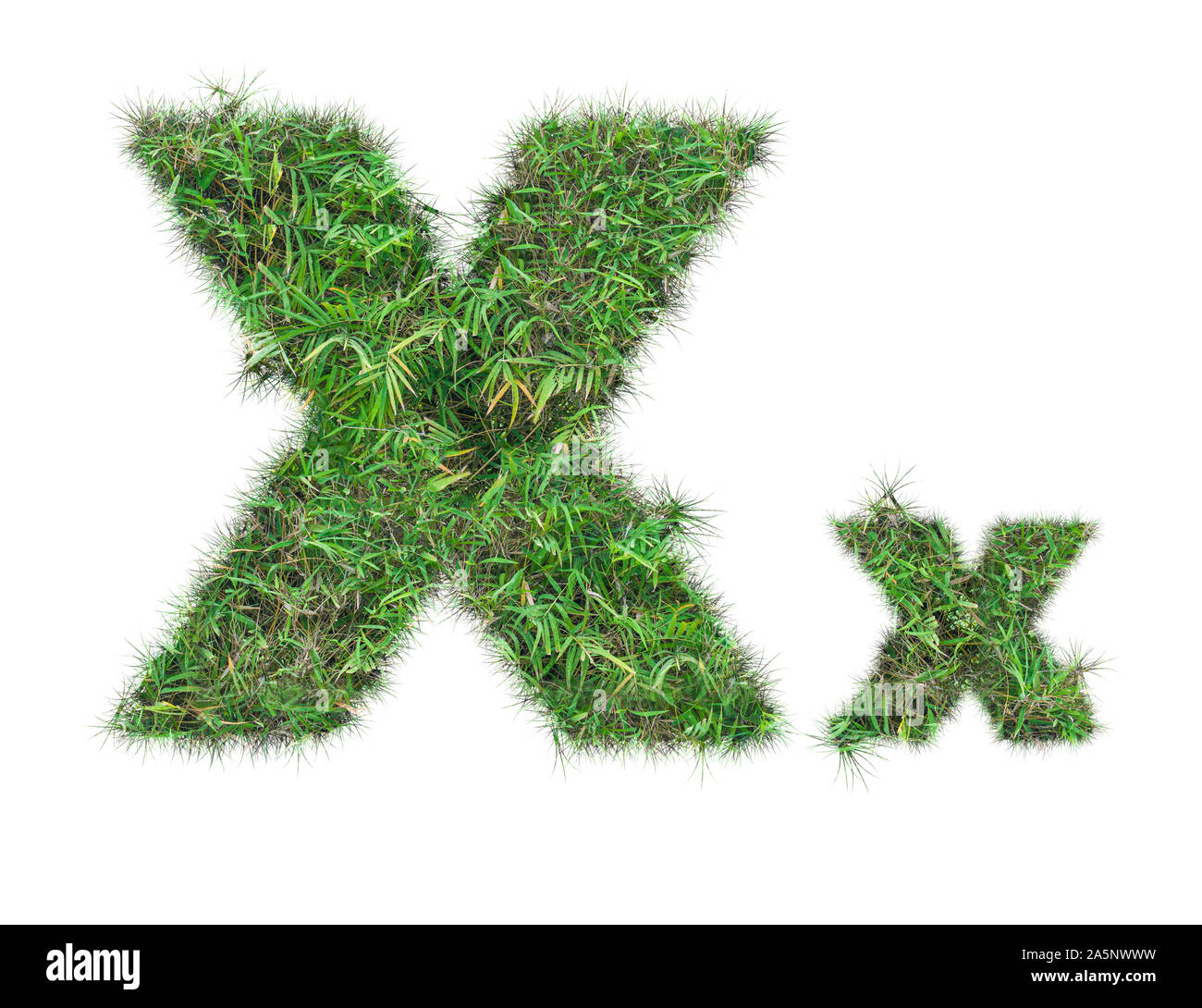 letter X on green grass isolated on over white background Stock Photo ...