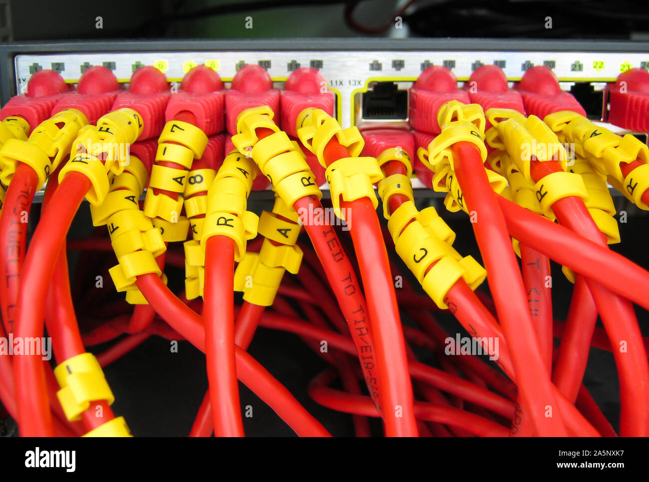 Ethernet RJ45 cables are connected to internet switch on business ...