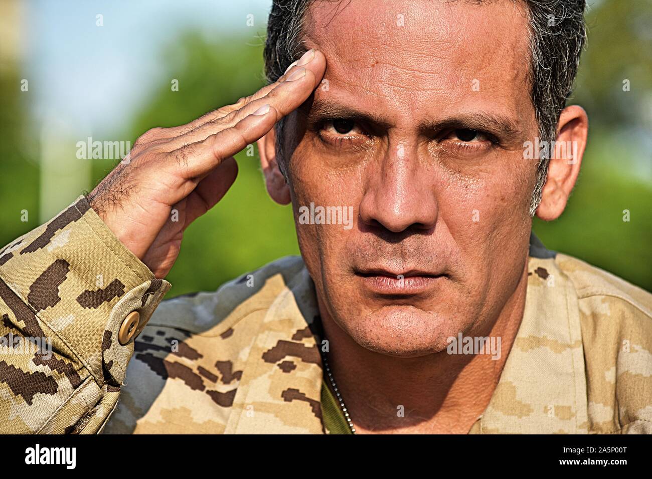 Military Male Soldier Saluting Stock Photo - Alamy