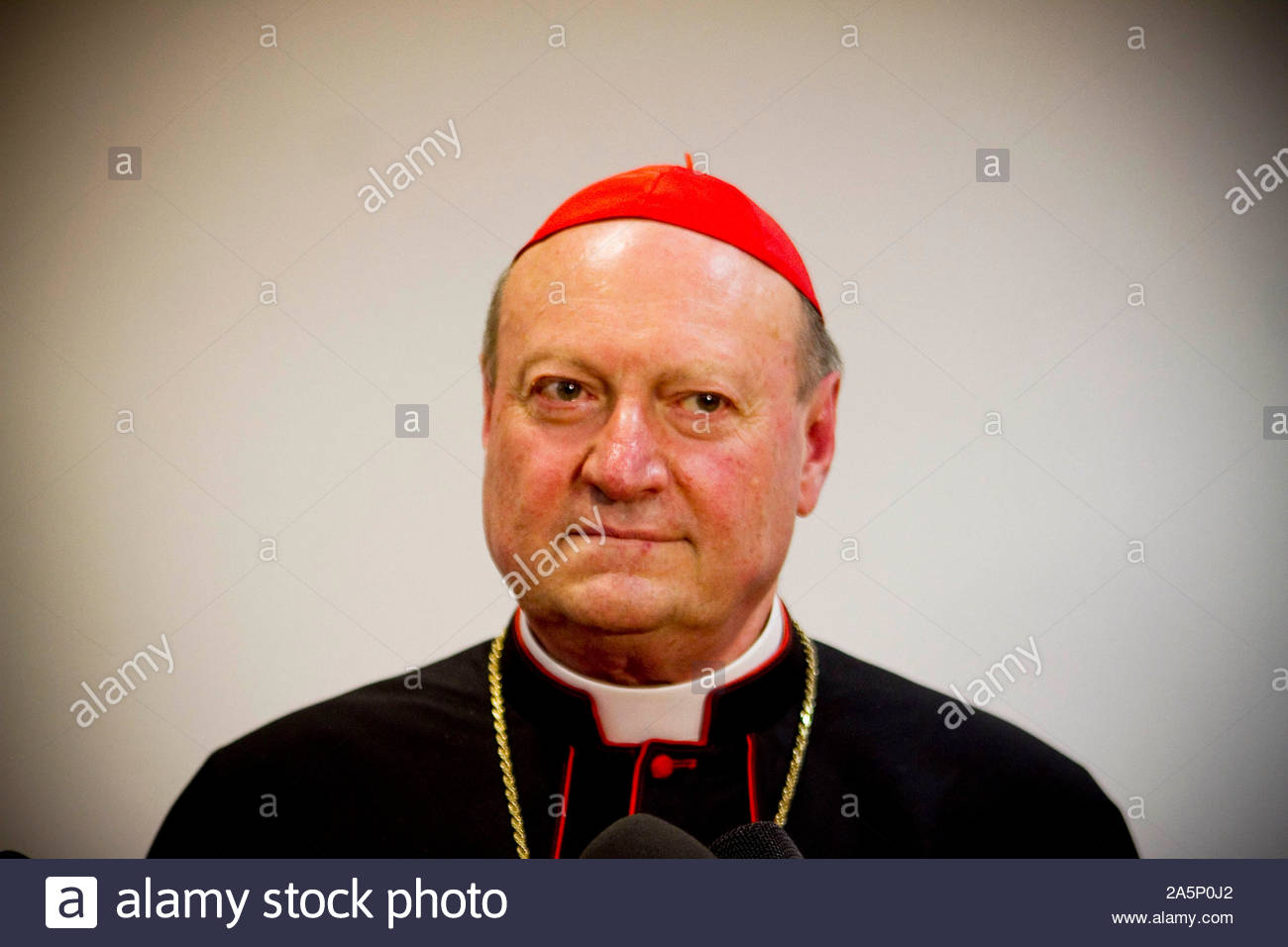 Cardinal Gianfranco Ravasi High Resolution Stock Photography and Images ...