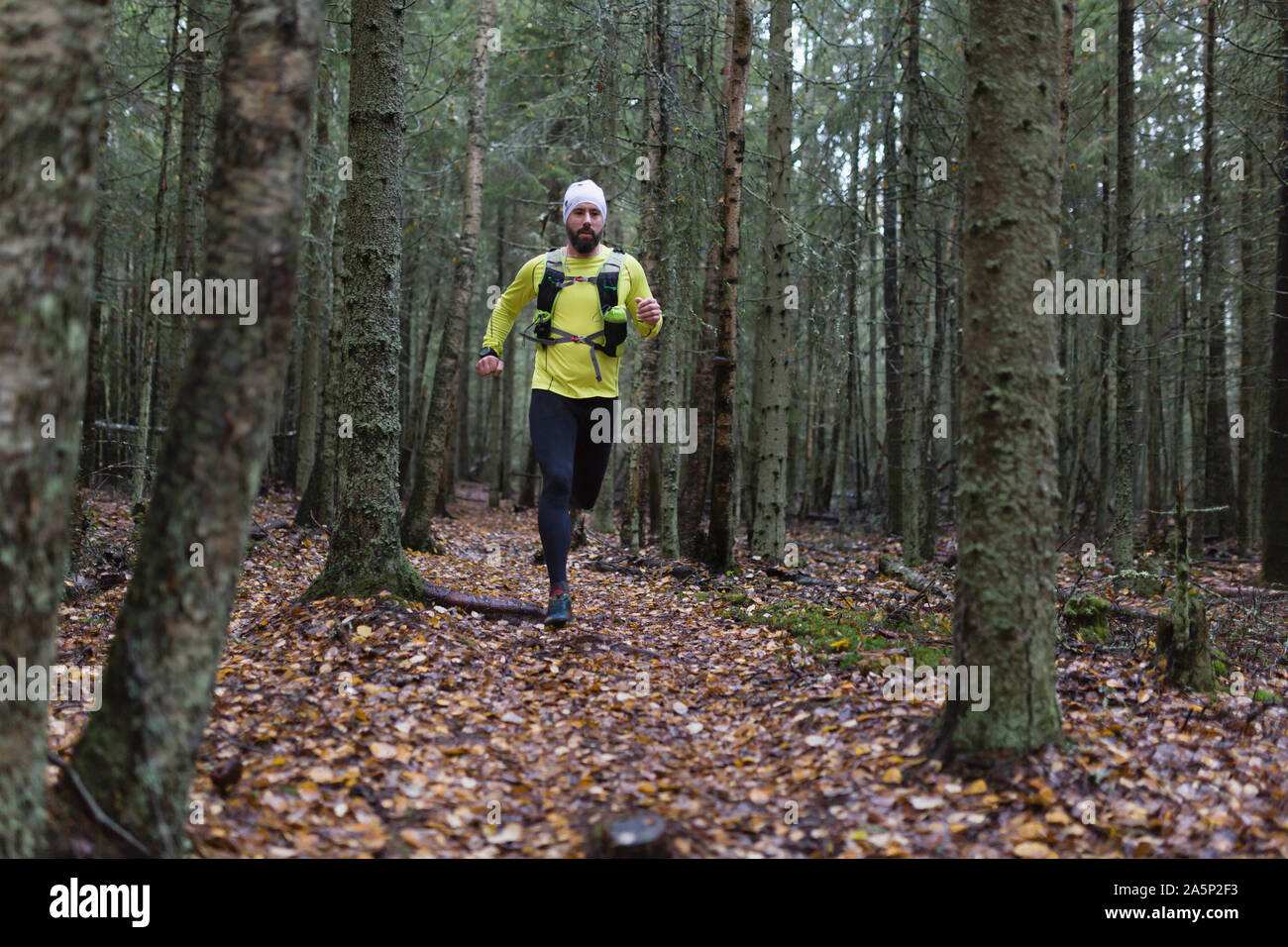 Man running in forest Stock Photo - Alamy