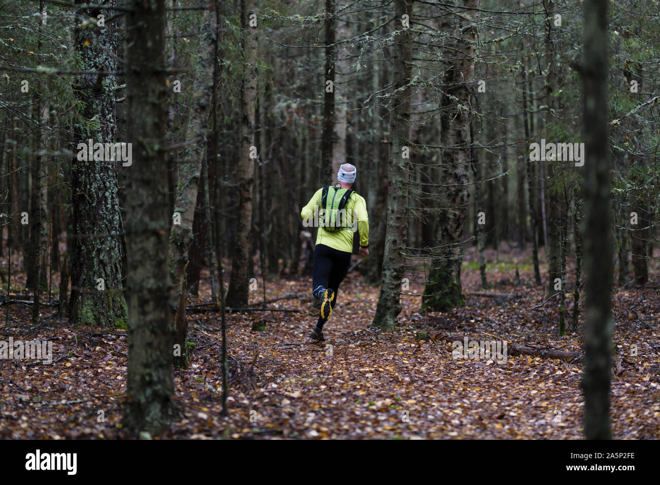 Man running in forest Stock Photo - Alamy