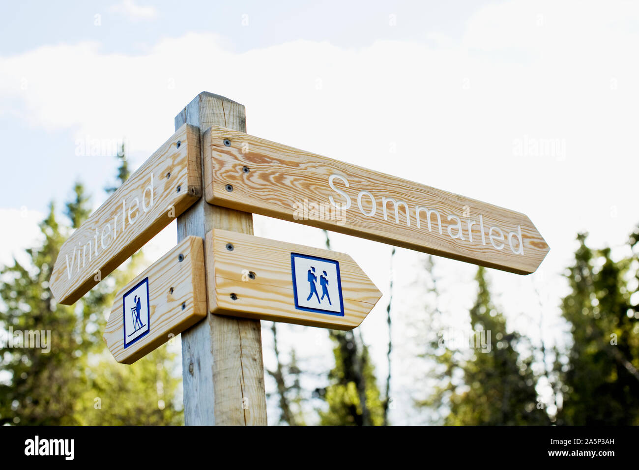 Signboard in forest Stock Photo - Alamy