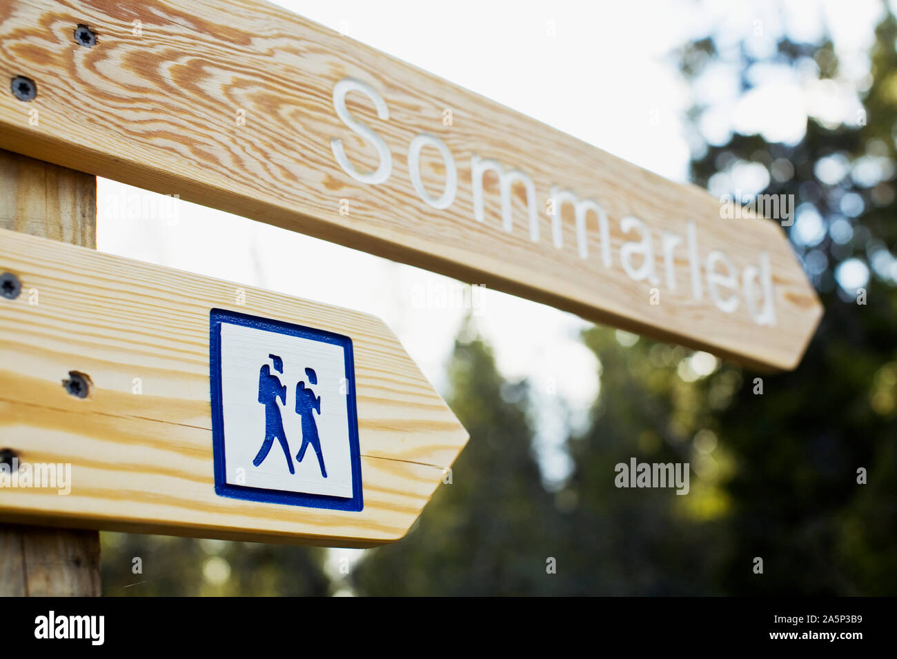 Signboard in forest Stock Photo - Alamy