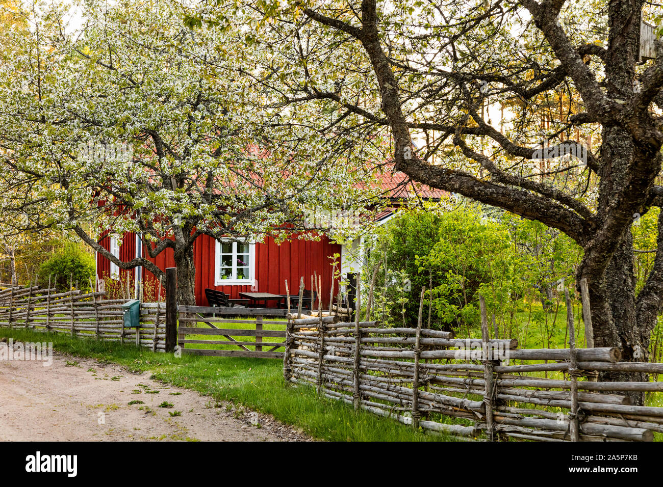 Wooden house at spring Stock Photo - Alamy