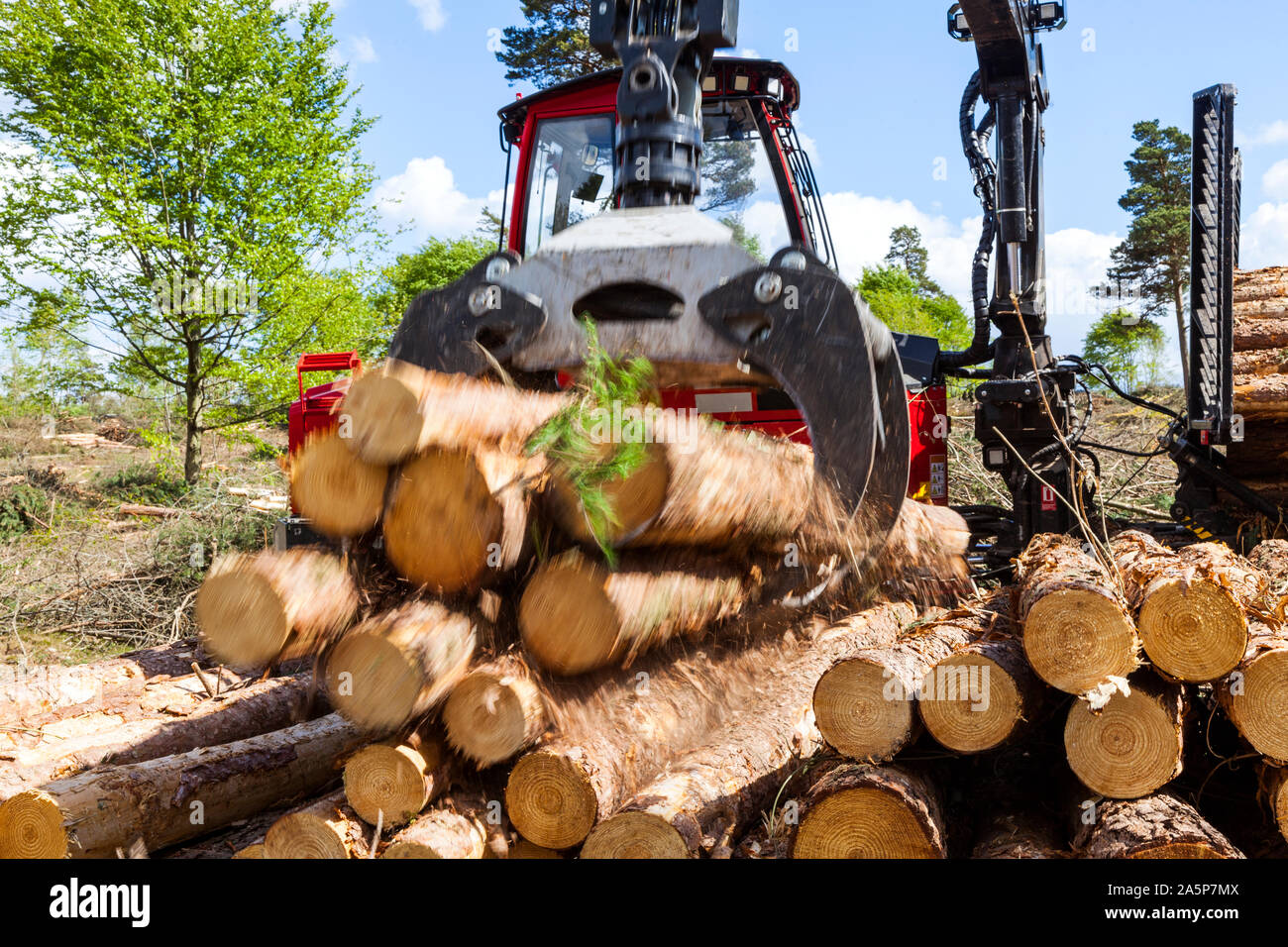 Forest machine carry logs Stock Photo - Alamy