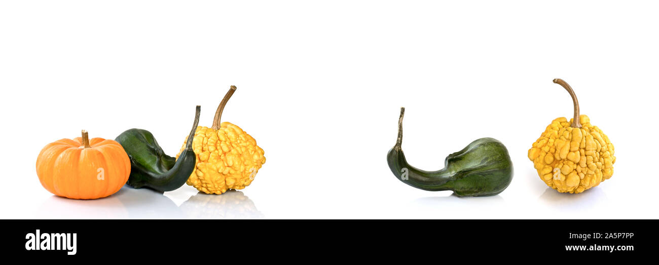 Decorative pumpkins and colocynths isolated on panoramic white ...