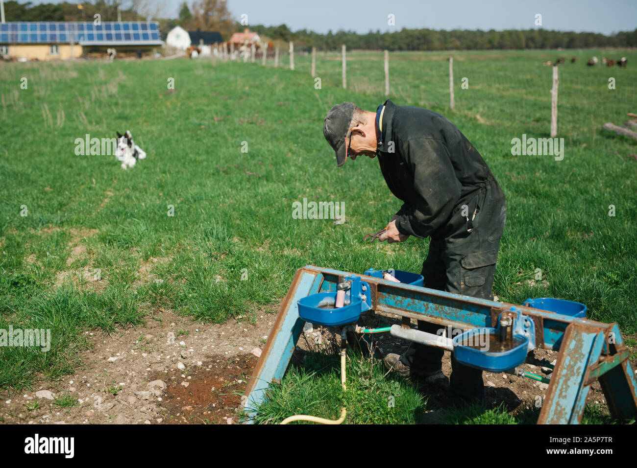 Farmer repairing trough Stock Photo - Alamy