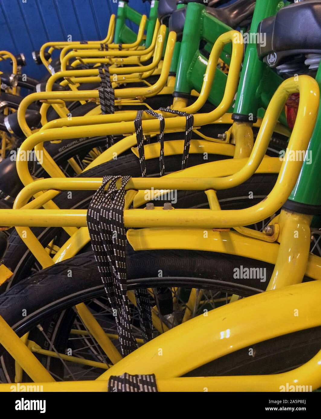Rows of bikes hi-res stock photography and images - Alamy