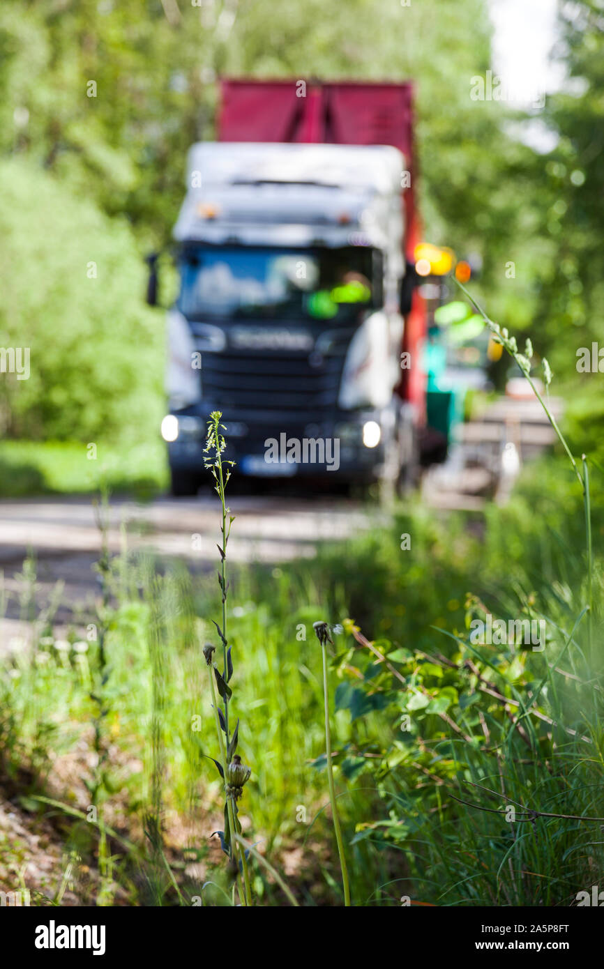 Plants by the roadside hi-res stock photography and images - Alamy