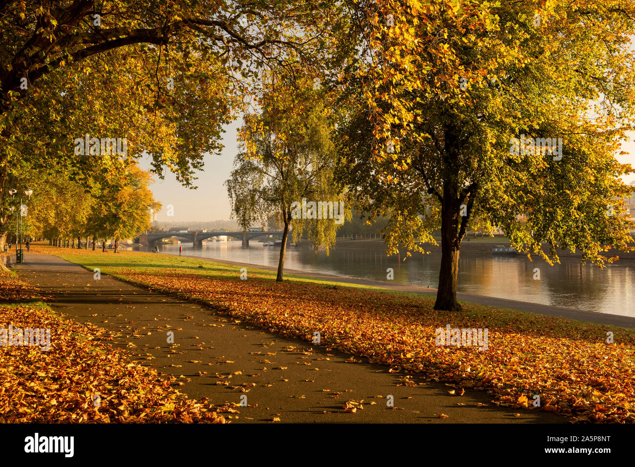 Autumn morning by the River Trent at Victoria Embankment in Nottingham ...