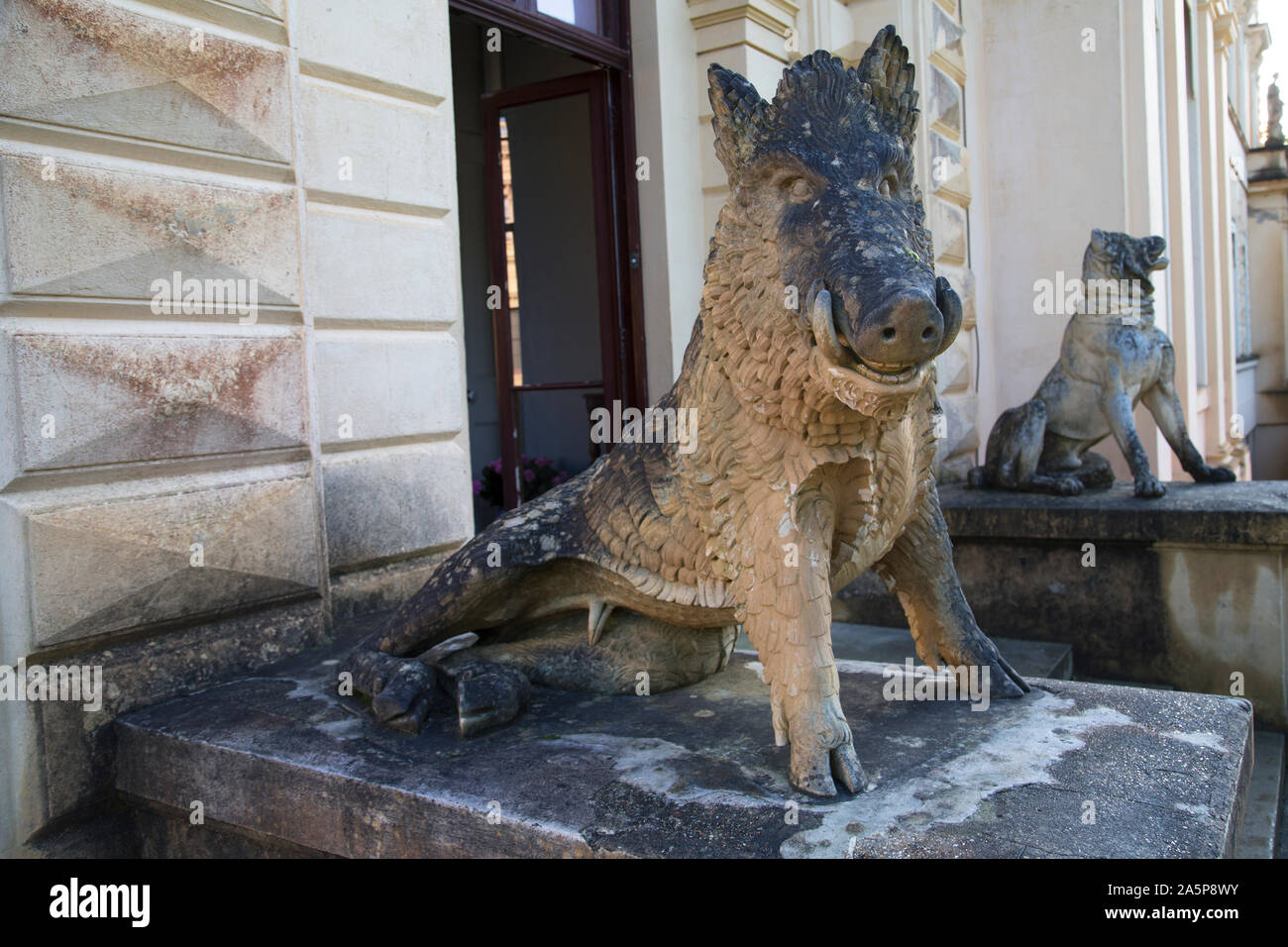 Wild boar house hi-res stock photography and images - Alamy