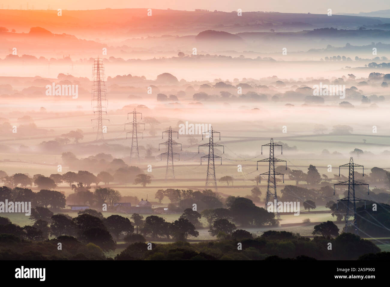 Warm weather snake hi-res stock photography and images - Alamy