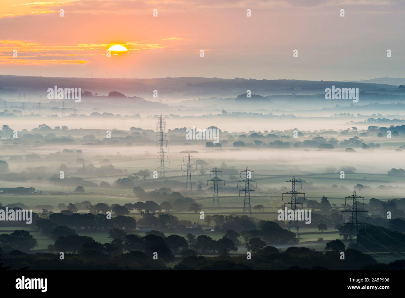 Warm weather snake hi-res stock photography and images - Alamy