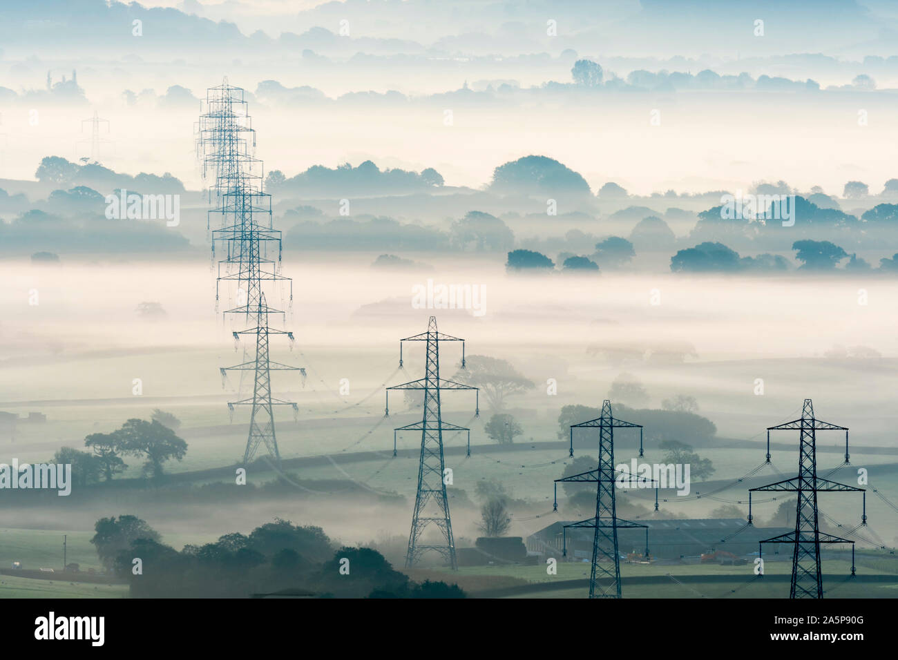 Warm weather snake hi-res stock photography and images - Alamy