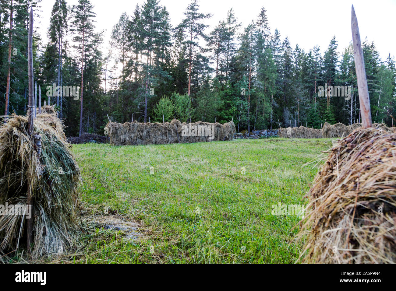 Hay drying rack hi-res stock photography and images - Alamy