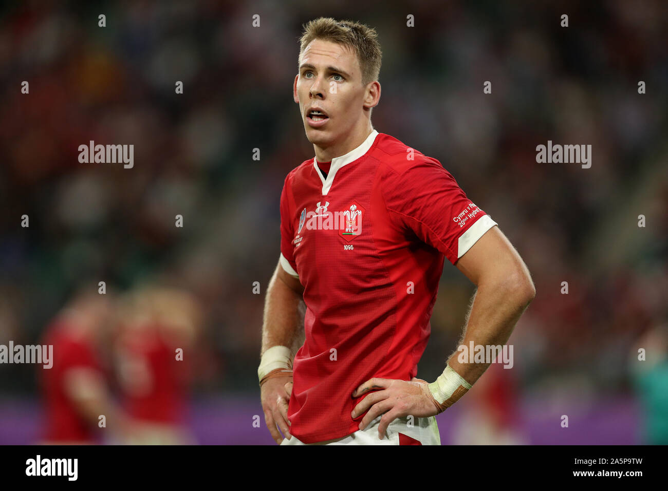 Wales' Liam Williams Stock Photo - Alamy