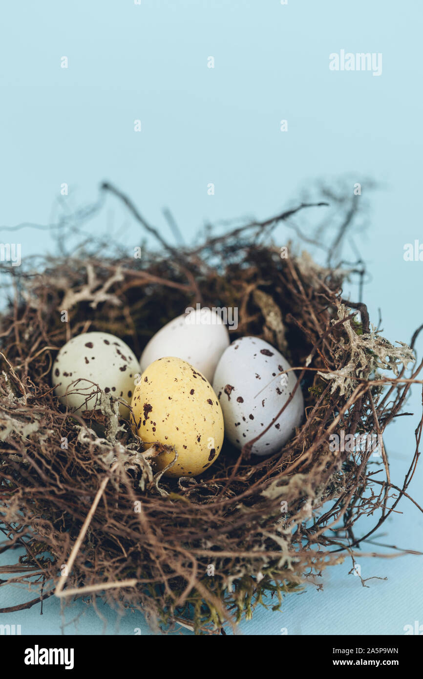 Spotted eggs in birds nest Stock Photo - Alamy