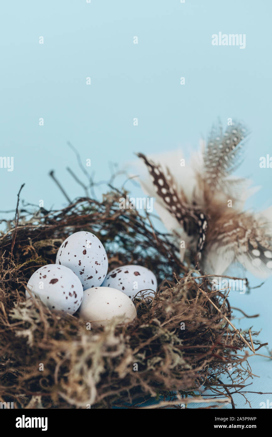 Spotted eggs hi-res stock photography and images - Alamy