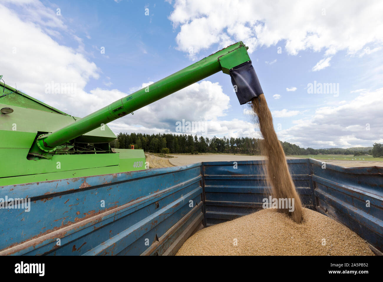Emptying the wheat into the trailer hi-res stock photography and images ...