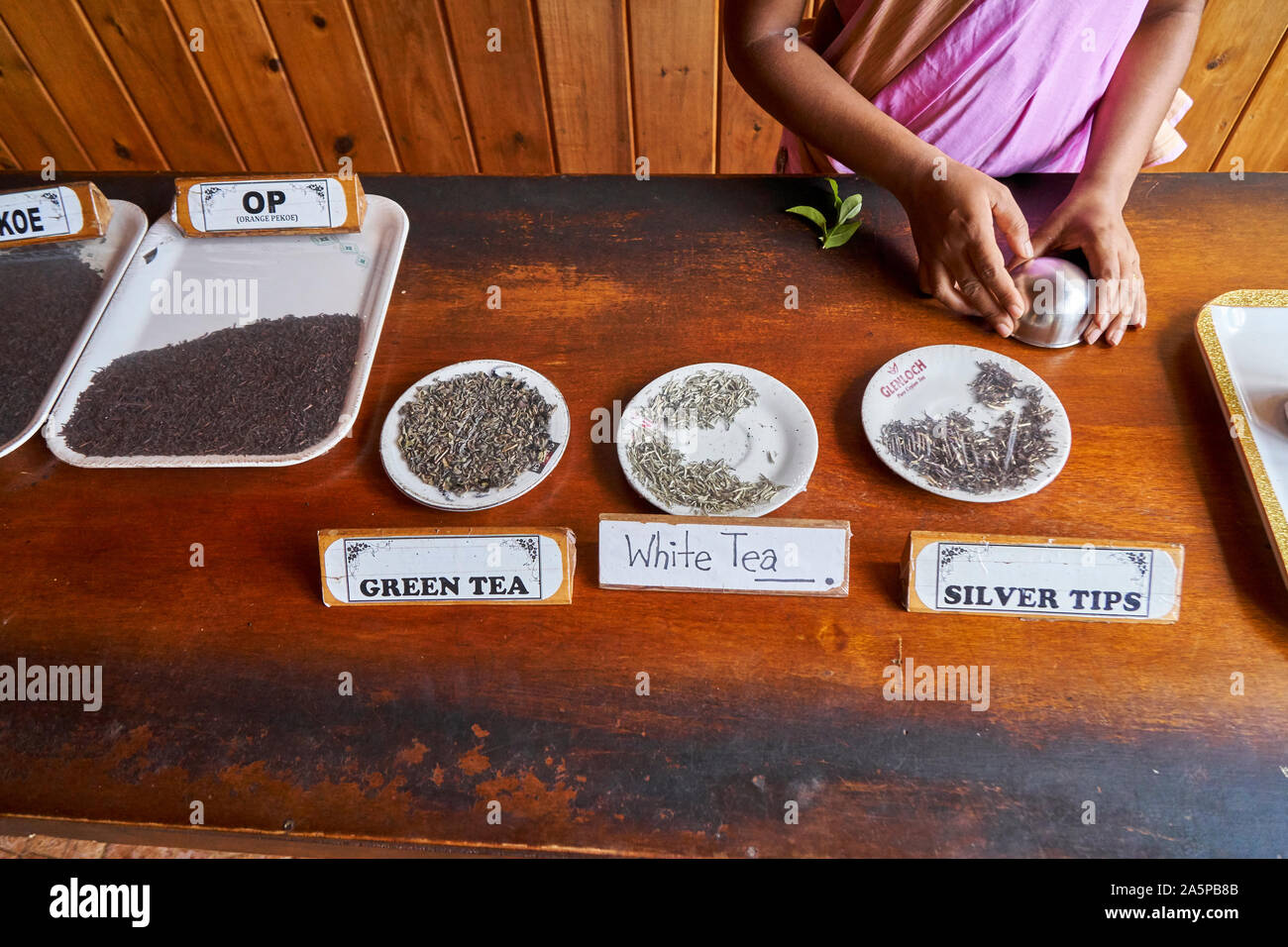 Tea tasting hi-res stock photography and images - Alamy