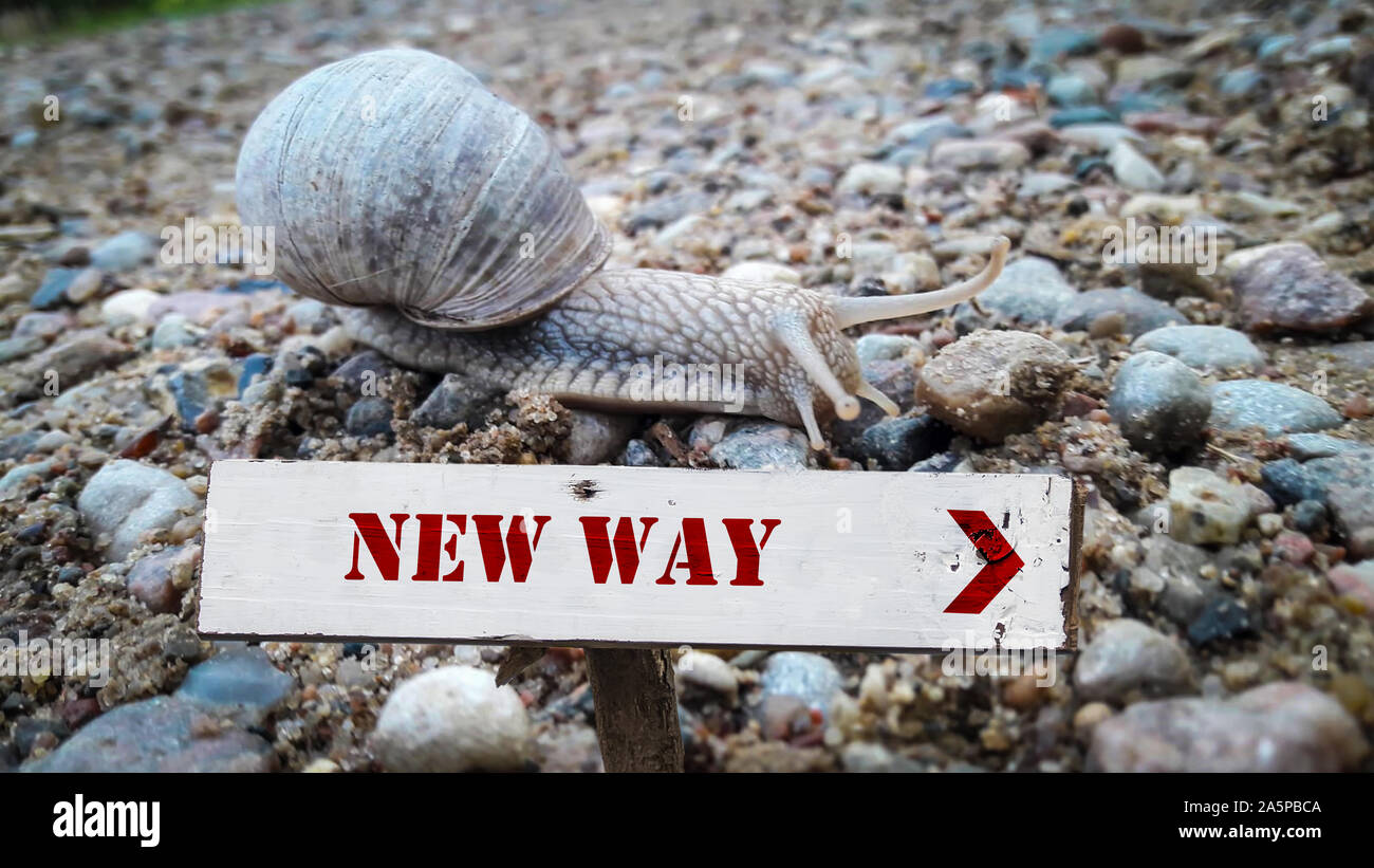 Street Sign the Direction Way to New Way Stock Photo - Alamy