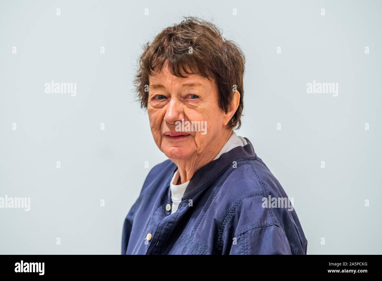 Bridget riley artist hi-res stock photography and images - Alamy