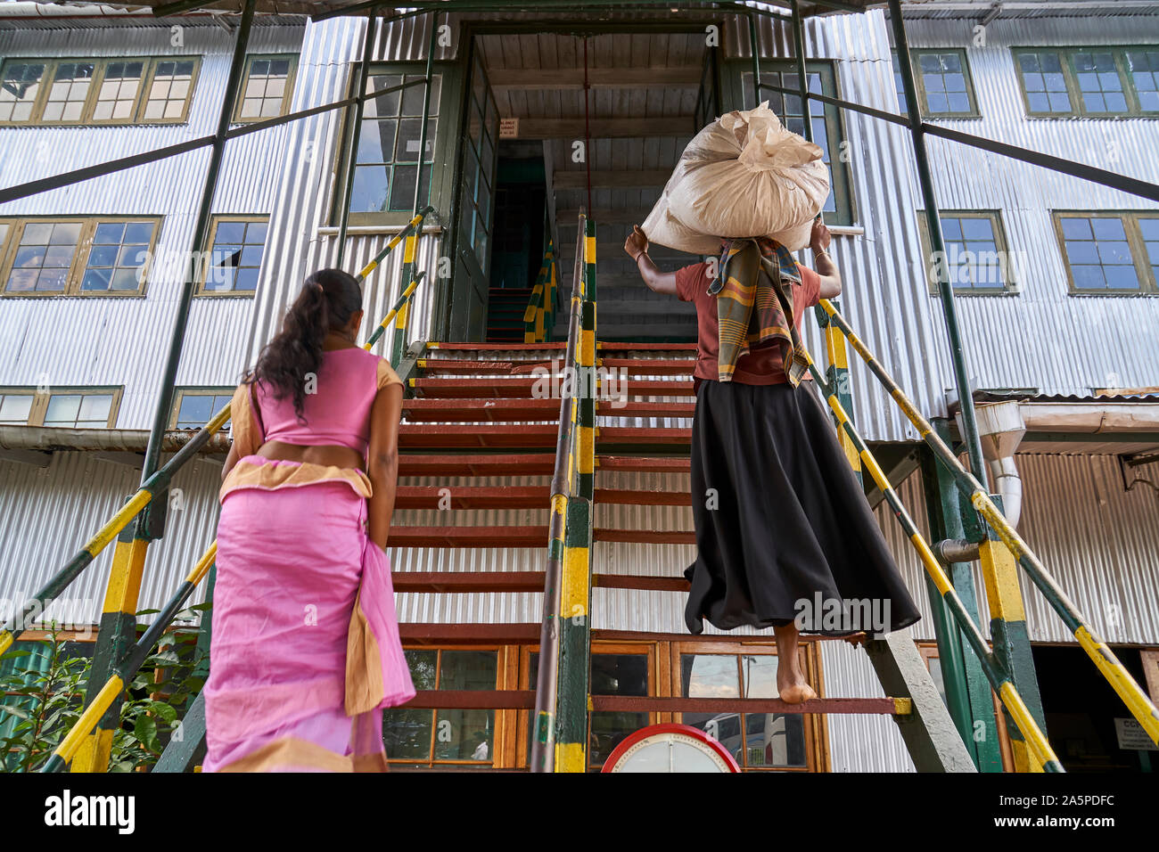 Taking tea hi-res stock photography and images - Alamy