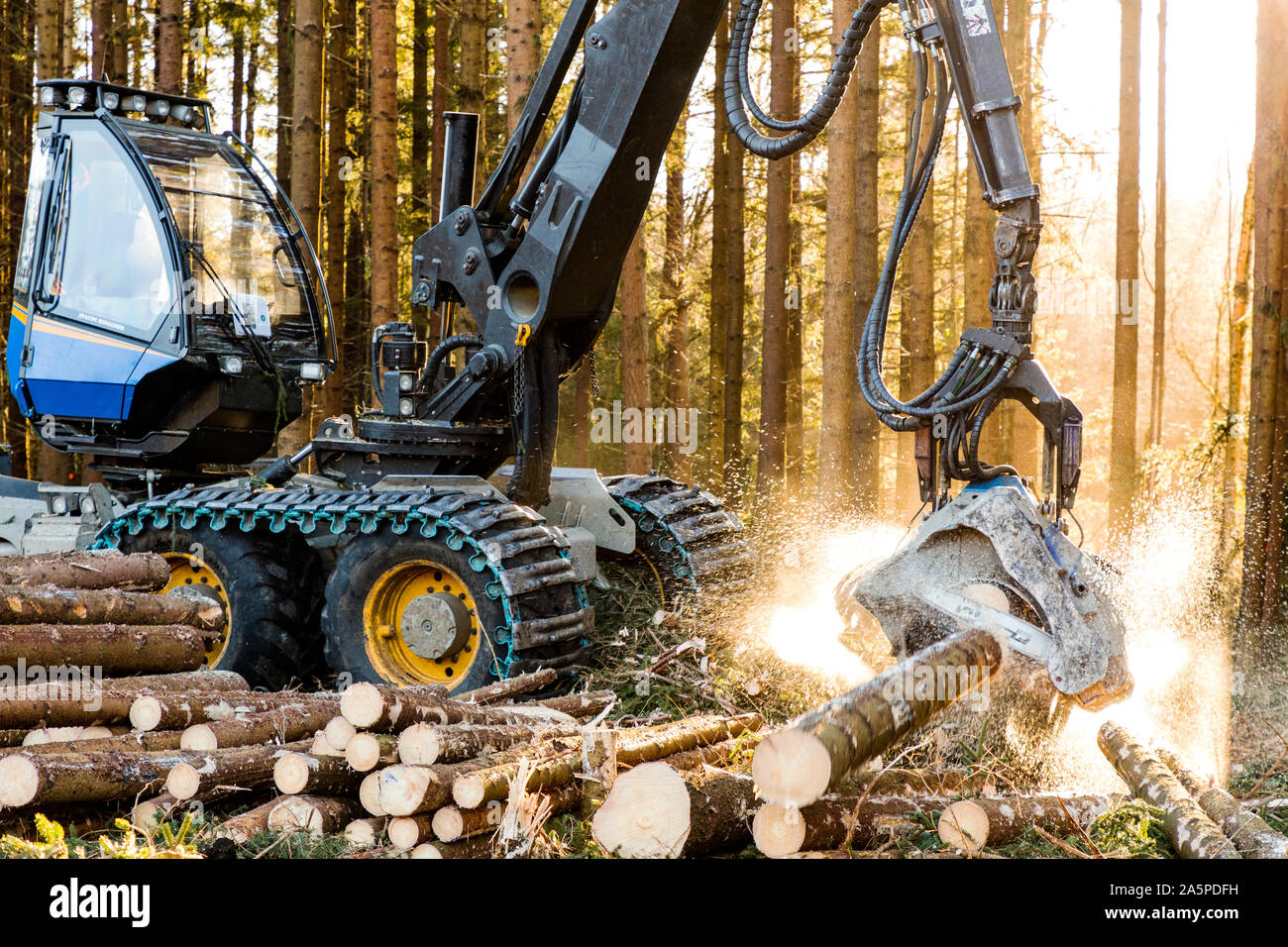 Forest machine at work Stock Photo - Alamy