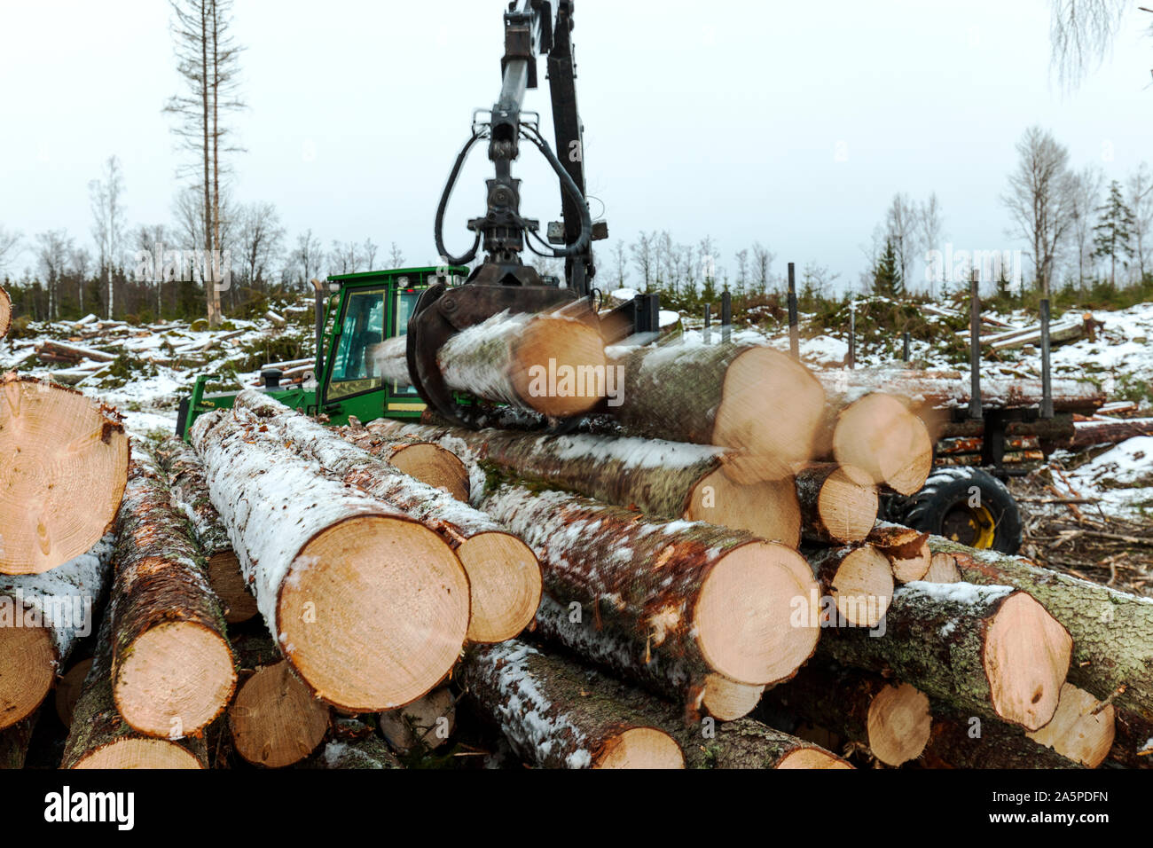 Forest machine at work Stock Photo - Alamy