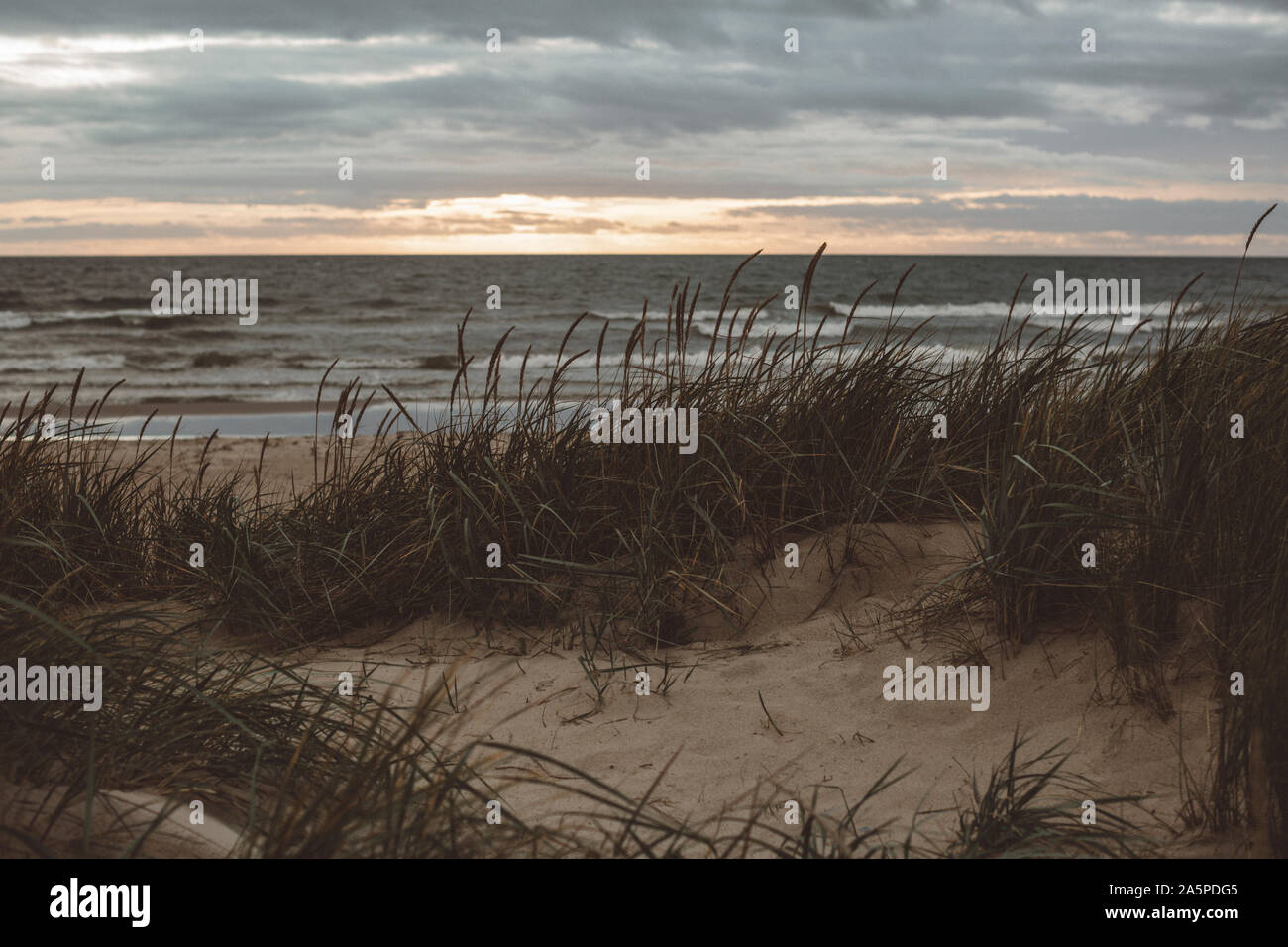 View of sandy beach Stock Photo - Alamy