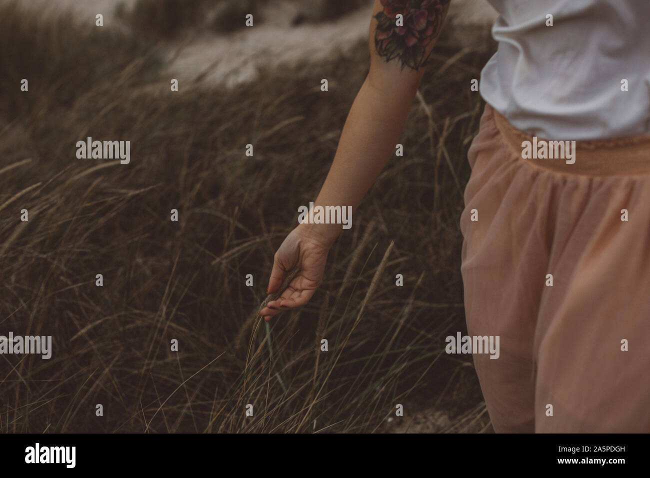 Womans hand holding grass Stock Photo - Alamy