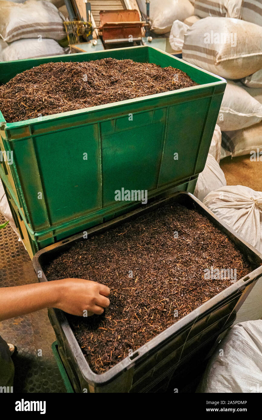 Grading and sorting hi-res stock photography and images - Alamy