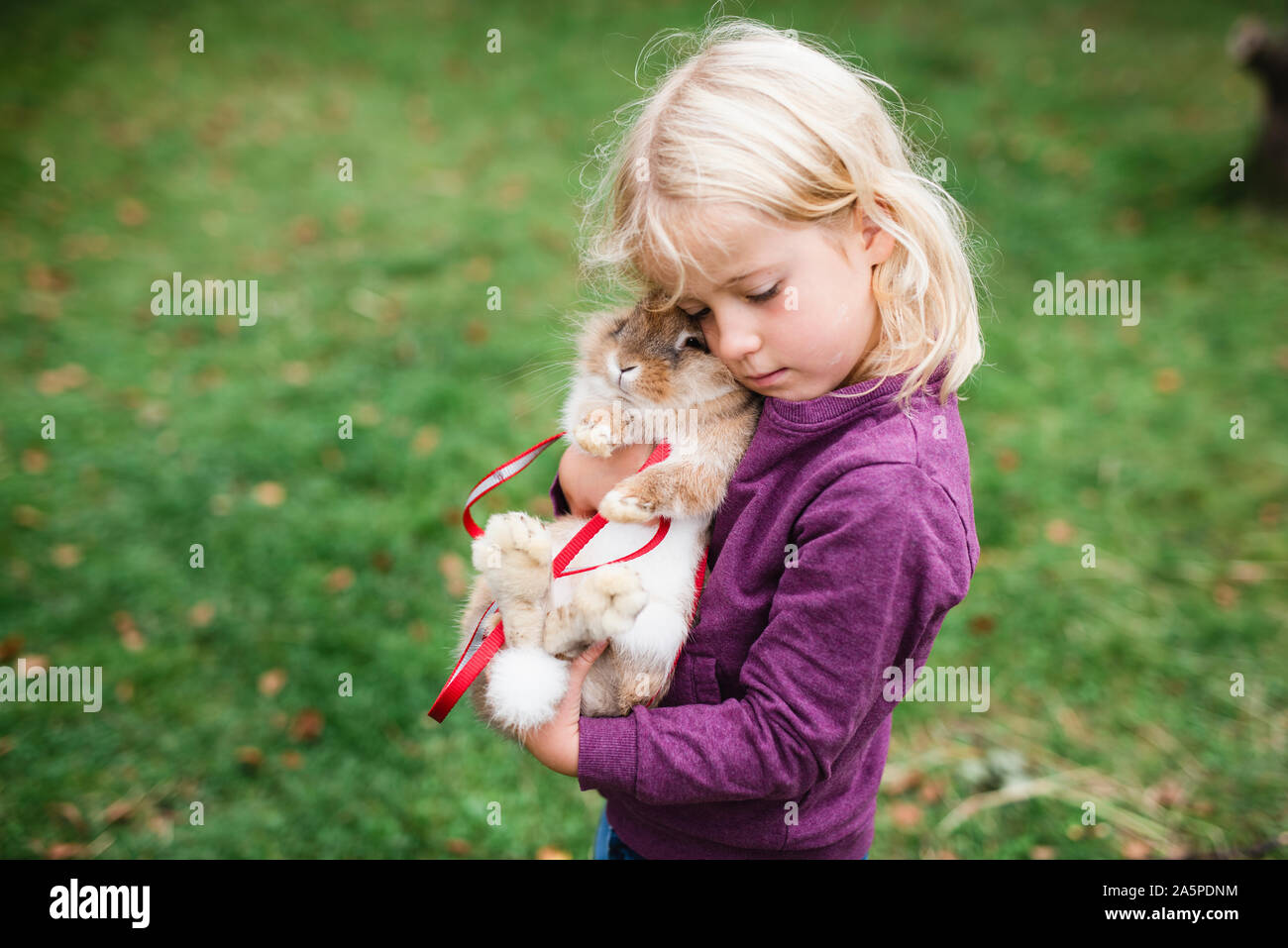 Girl hugging rabbit Stock Photo - Alamy