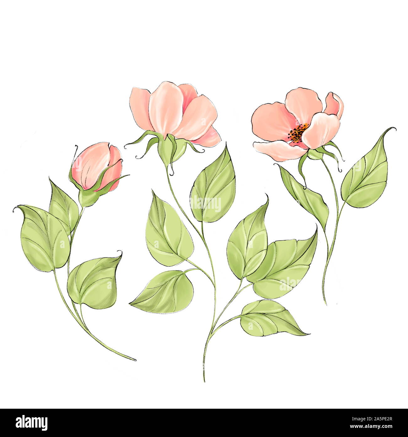 Delicate drawing hi-res stock photography and images - Alamy