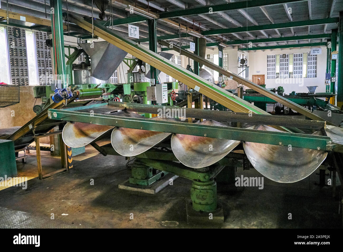 Ceylon tea tasting sri lanka hi-res stock photography and images - Alamy