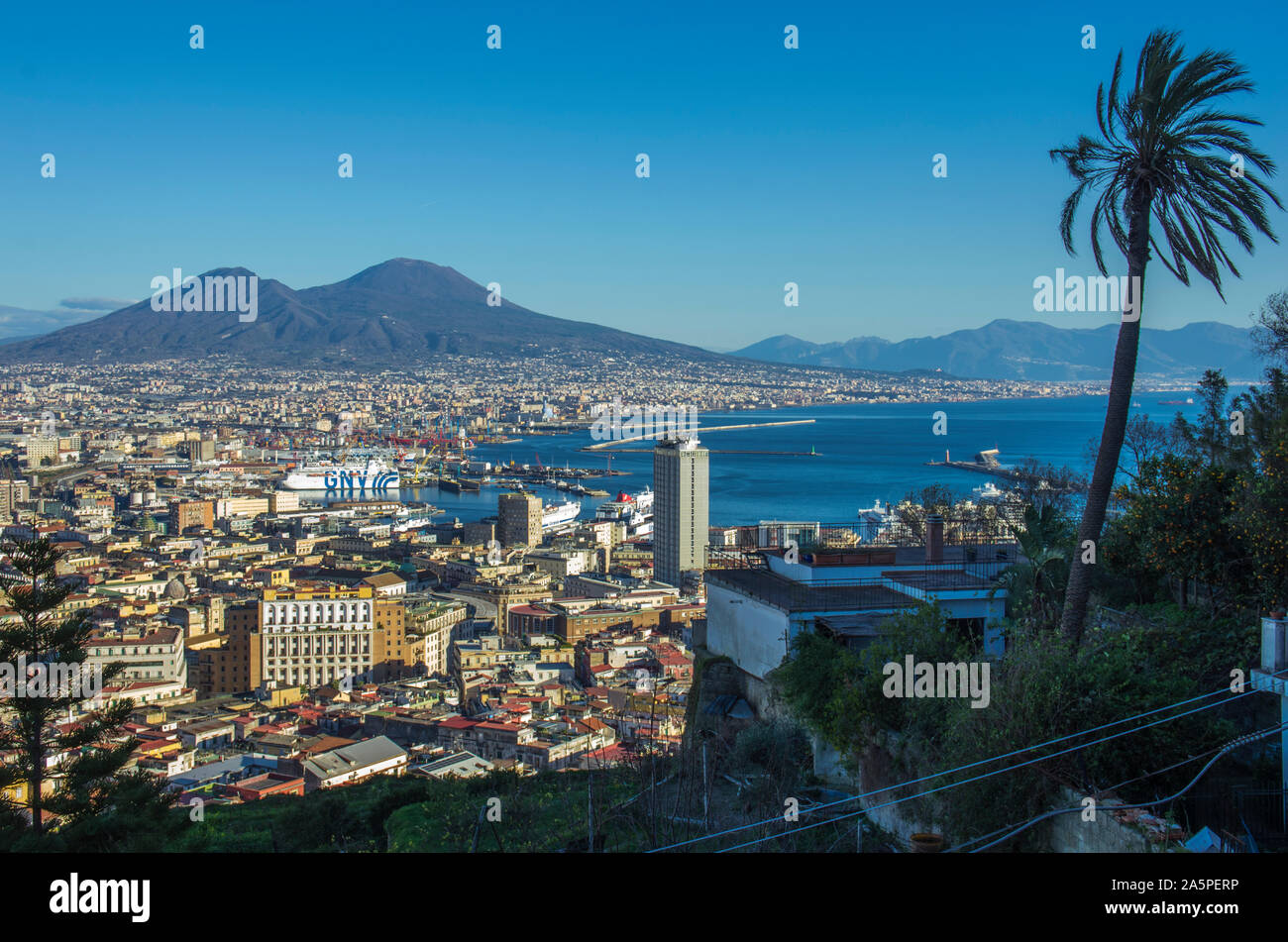 Palm tree in naples italy hi-res stock photography and images - Alamy