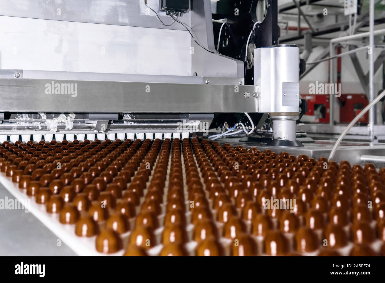 rows of toppings for chocolates manufactured by machine, on a conveyor ...