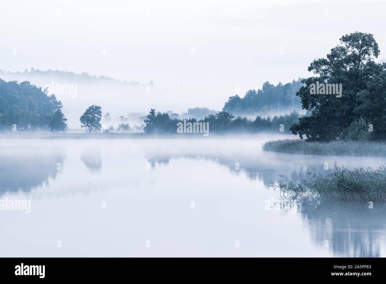 Fog over lake Stock Photo - Alamy