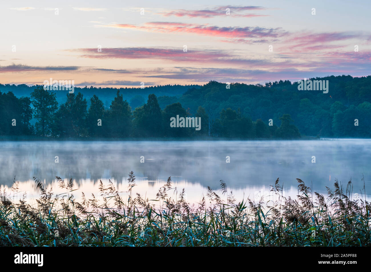 Fog over lake at dawn Stock Photo - Alamy
