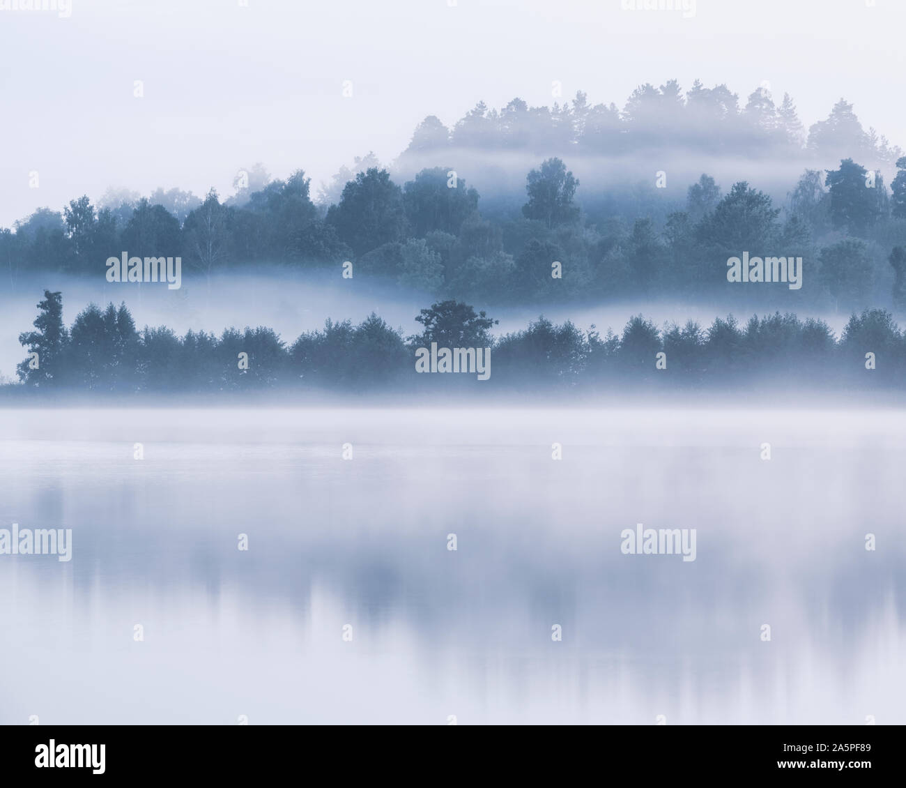 Fog over lake Stock Photo - Alamy
