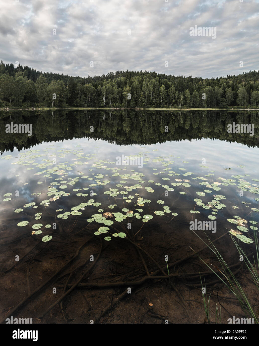 Reflection on lake Stock Photo - Alamy